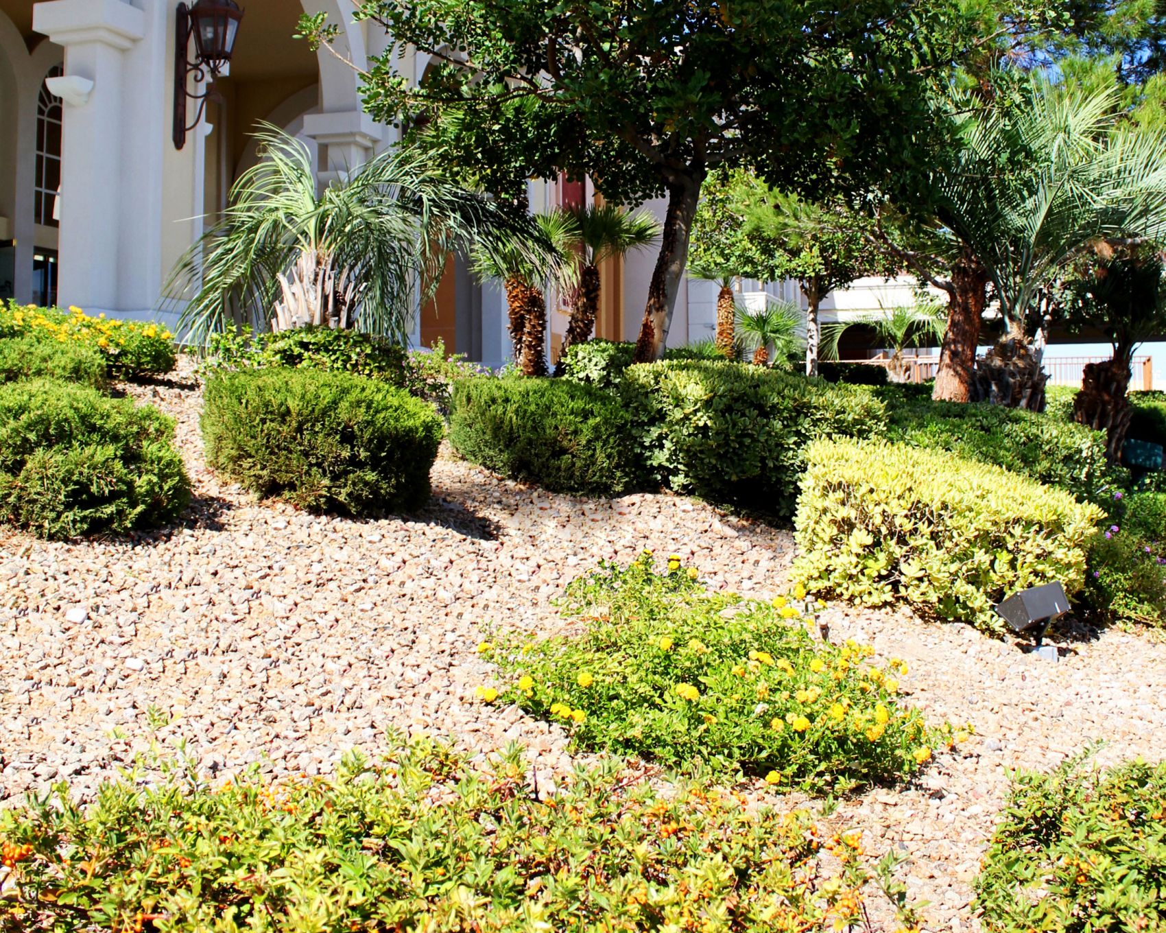 Home - NLS Grounds Management